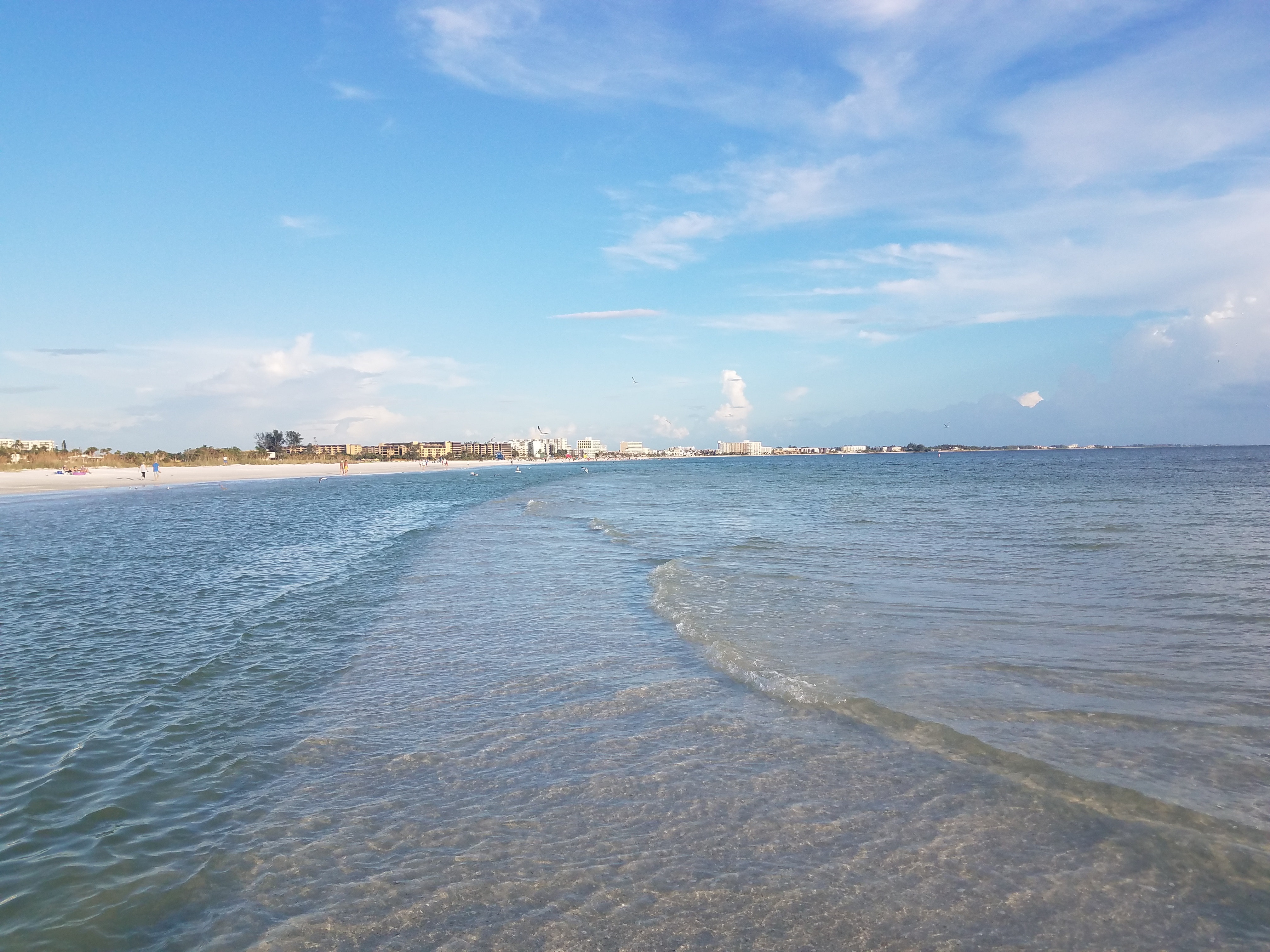 Beach bacteria briefly breach acceptable levels – The Catalyst