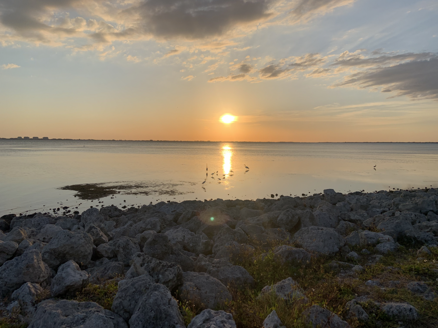 What is the Sunshine Law and why does it matter? – The Catalyst