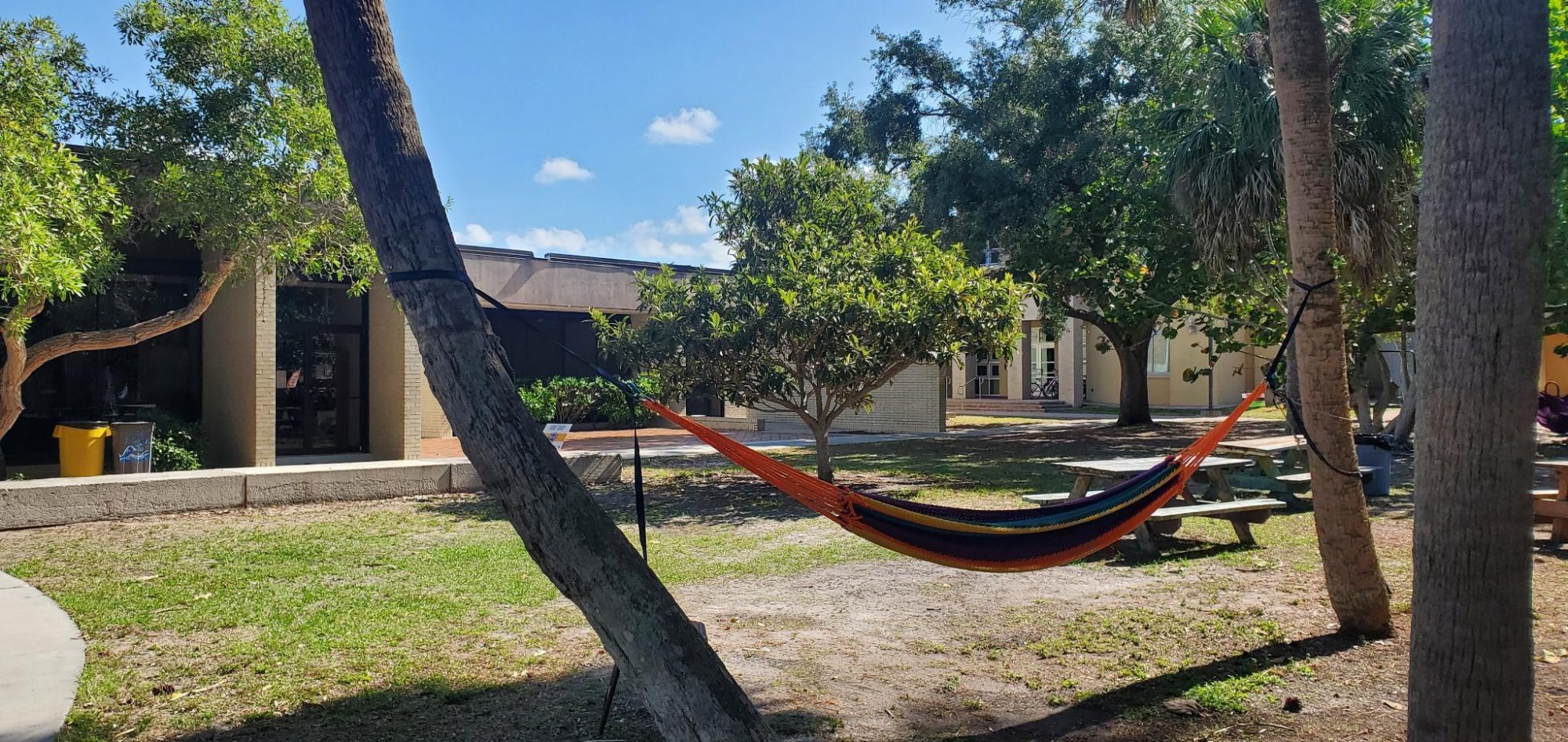 The Nook gets new hole-free hammocks – The Catalyst